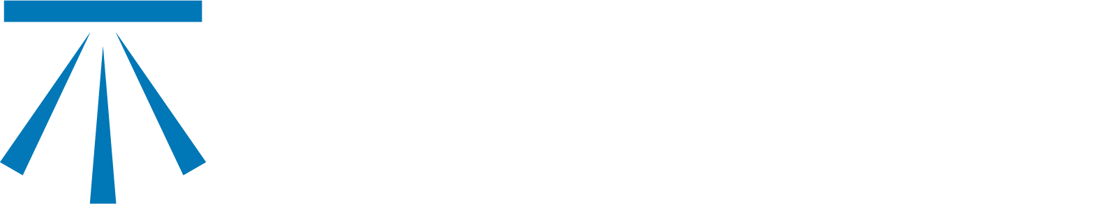 Stringer Topo - Civil Survey Applications India